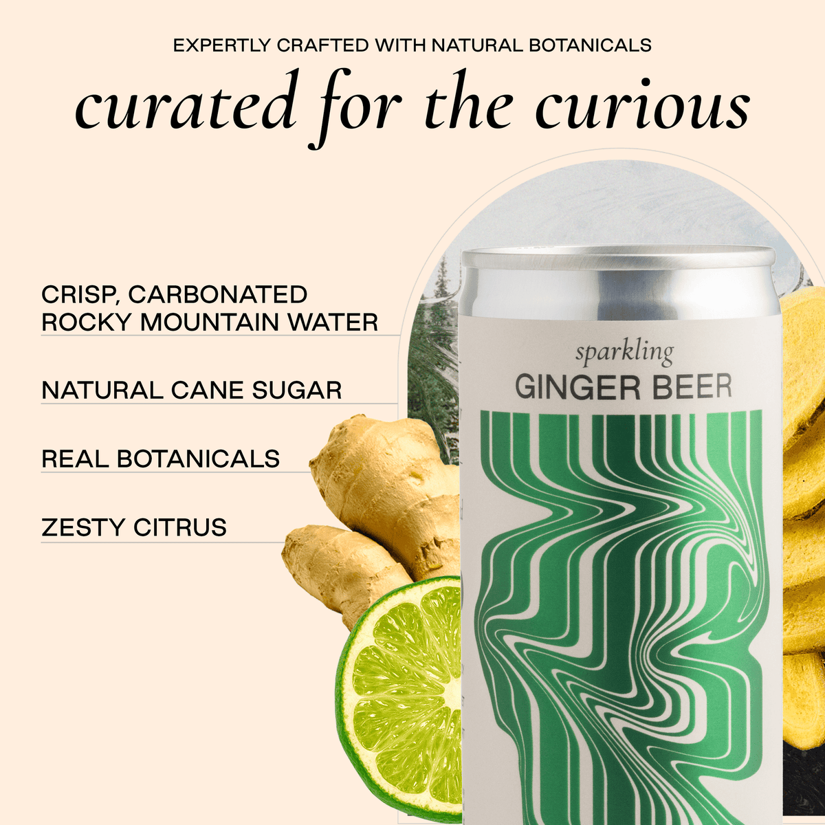 STRONGWATER — Sparkling Ginger Beer, 4-Pack Cans – Minus Moonshine